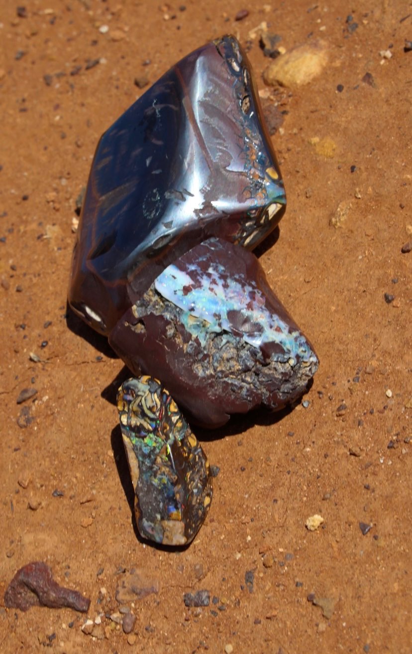 Outback Explorer Competition